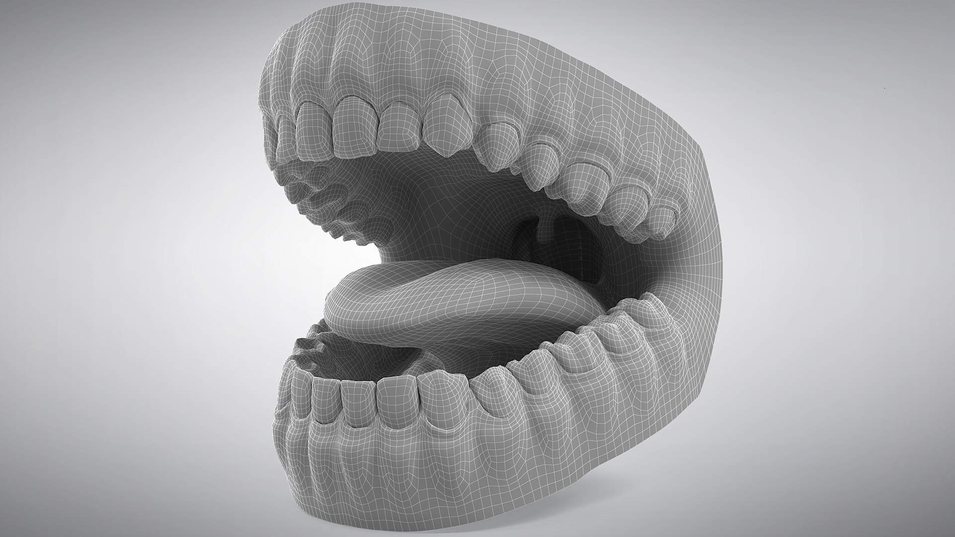 Realistic Human Mouth Anatomy 3D Model - TurboSquid 1995422