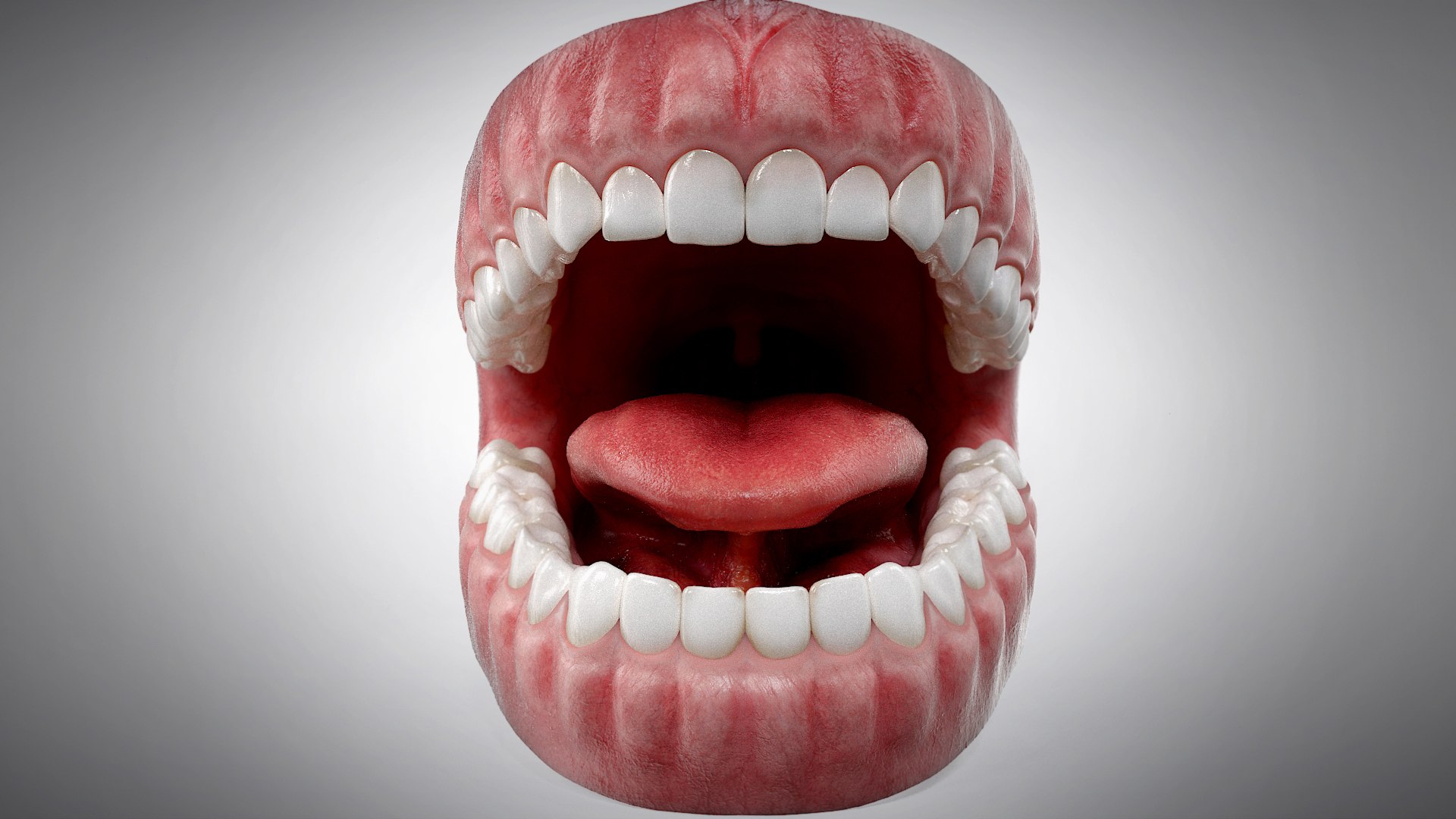 Realistic Human Mouth Anatomy 3D Model - TurboSquid 1995422