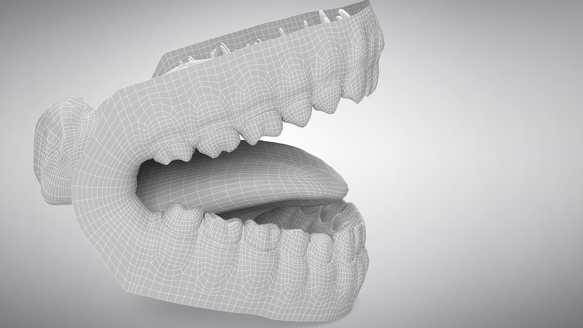 Realistic Human Mouth Anatomy 3D Model - TurboSquid 1995422