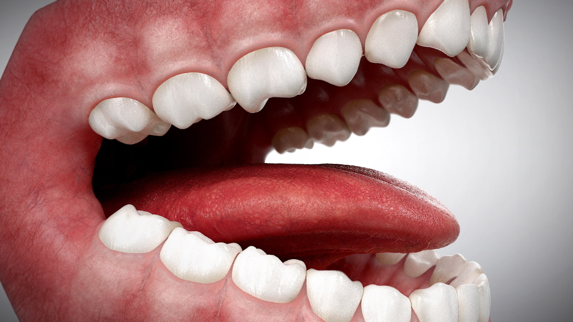 Realistic Human Mouth Anatomy 3D Model - TurboSquid 1995422