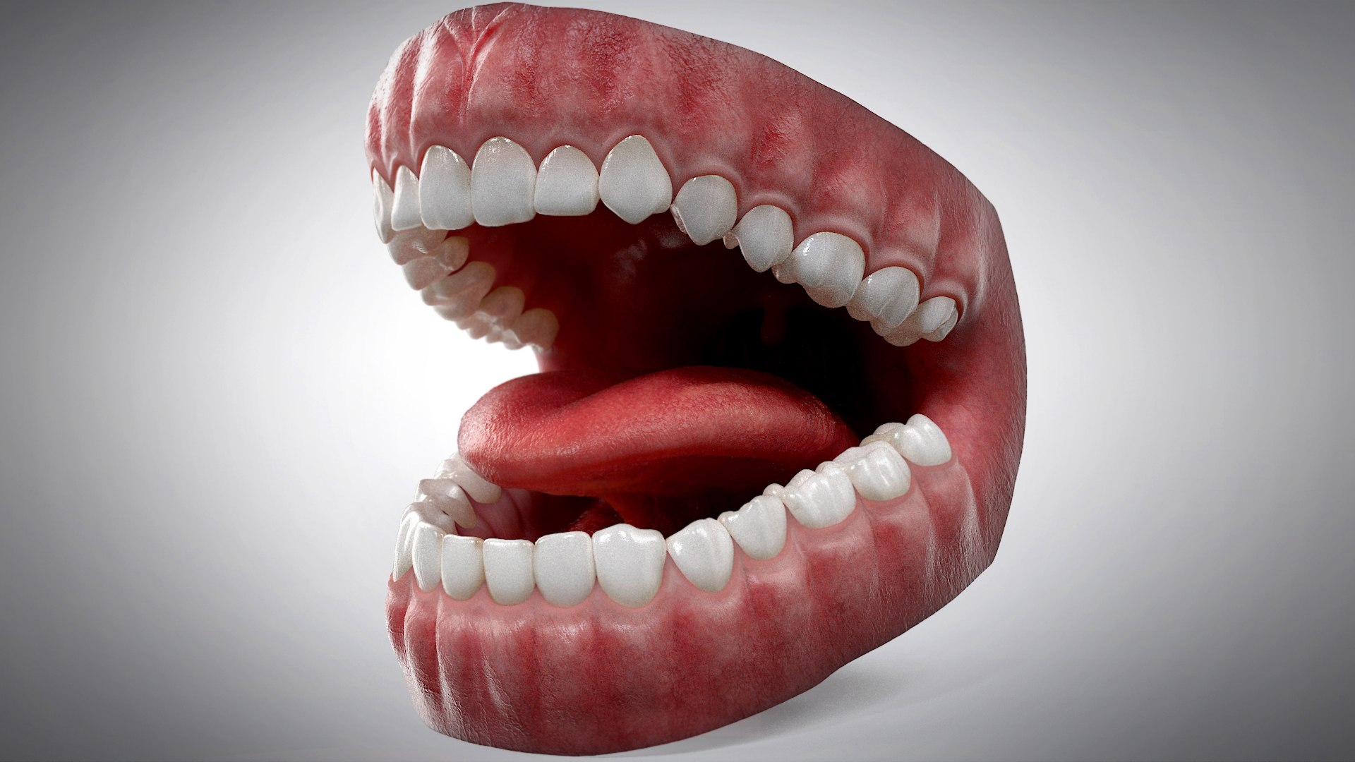 Realistic Human Mouth Anatomy 3D Model - TurboSquid 1995422