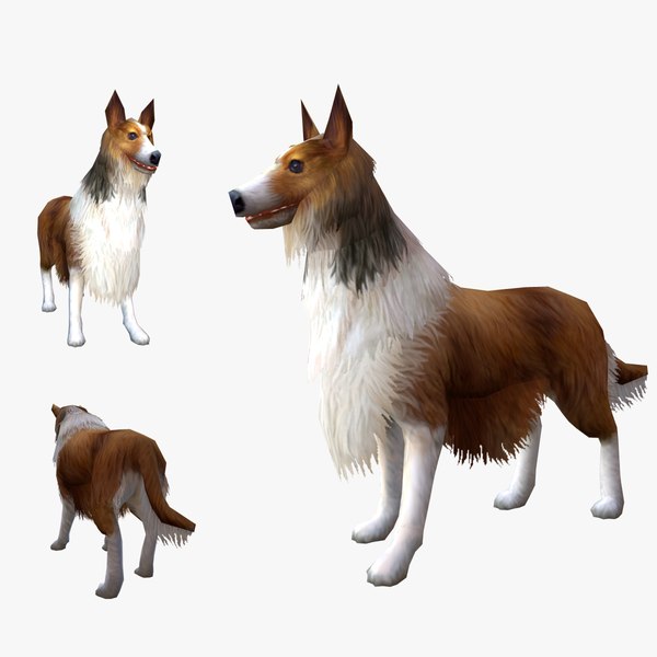 Low-poly animated dog Rough Collie 3D model - TurboSquid 2026894