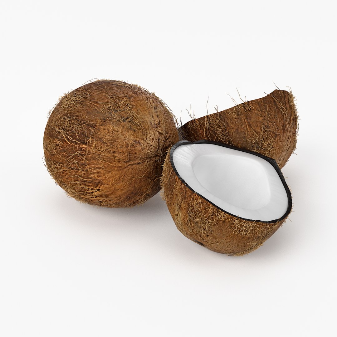 Realistic Coconut Real Fruit 3d Obj