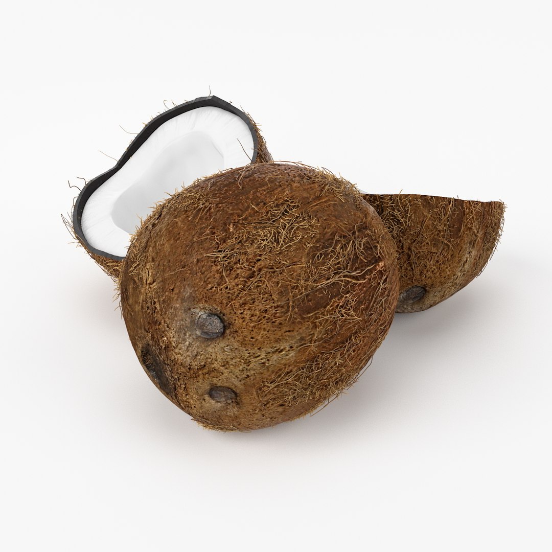 Realistic Coconut Real Fruit 3d Obj