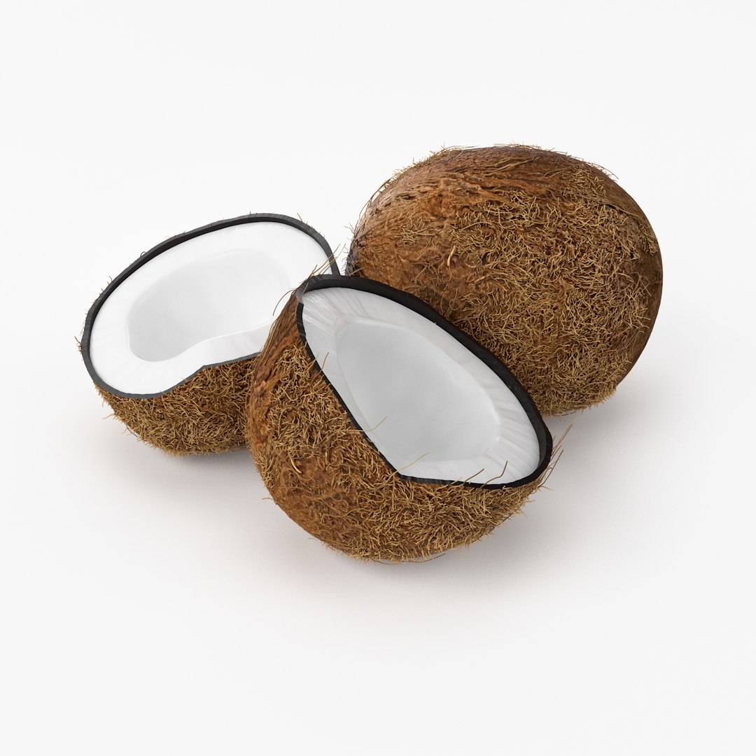 Realistic Coconut Real Fruit 3d Obj