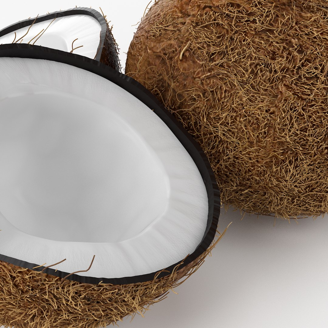 Realistic Coconut Real Fruit 3d Obj