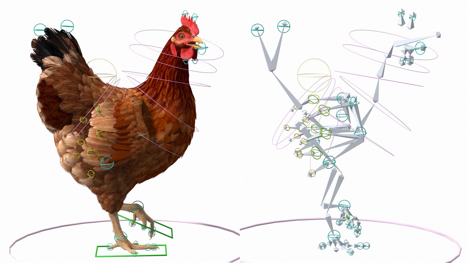 3D Poultry Feeder with Chickens Rigged - TurboSquid 1800040