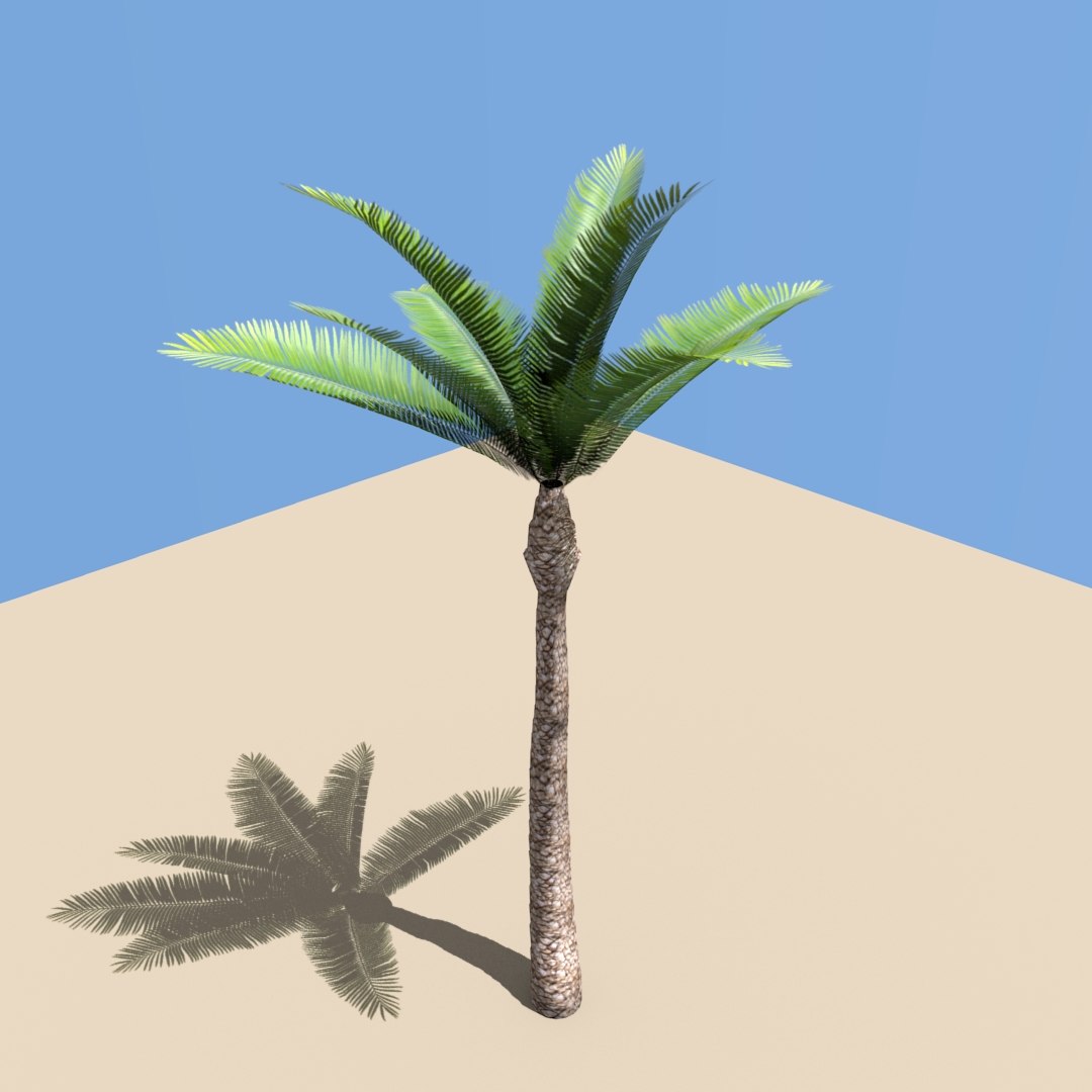 3d low-poly palm tree