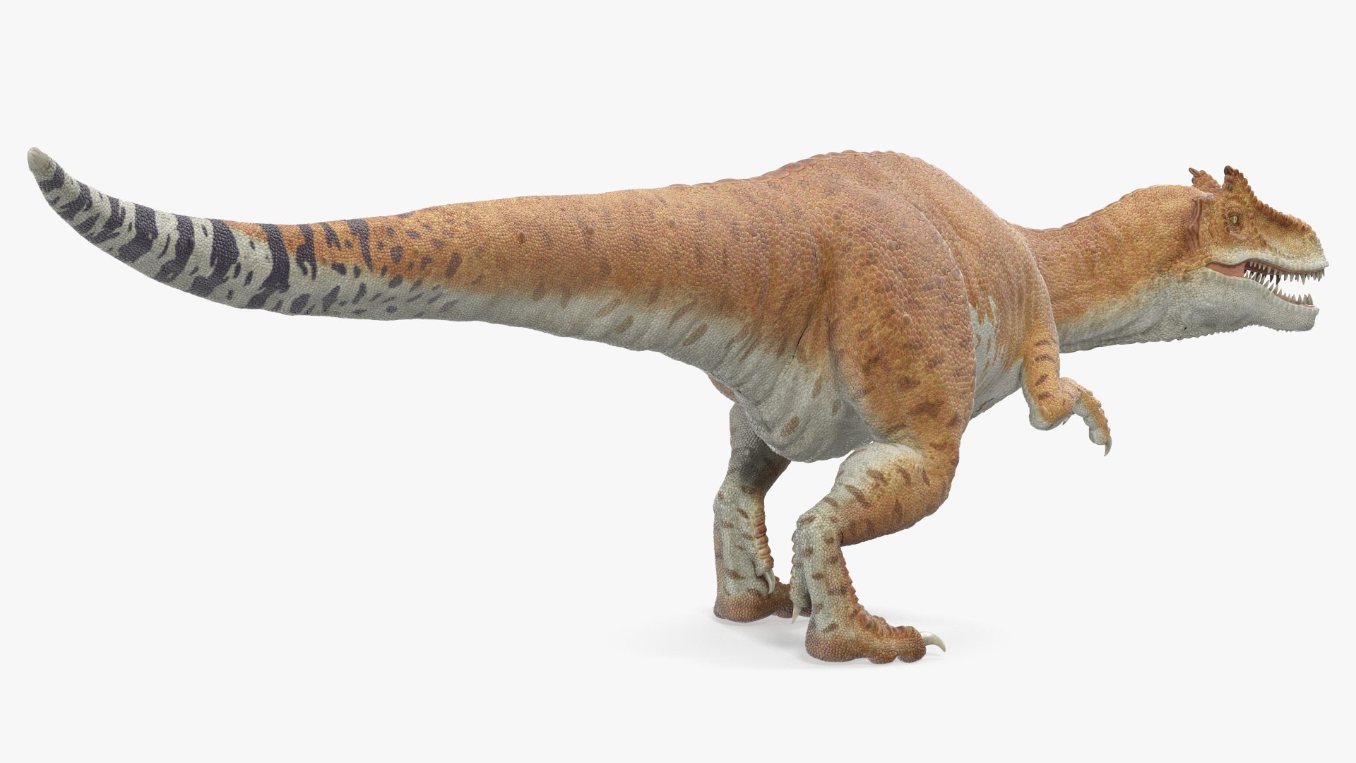 3D Allosaurus on the Hunt model - TurboSquid 2158683