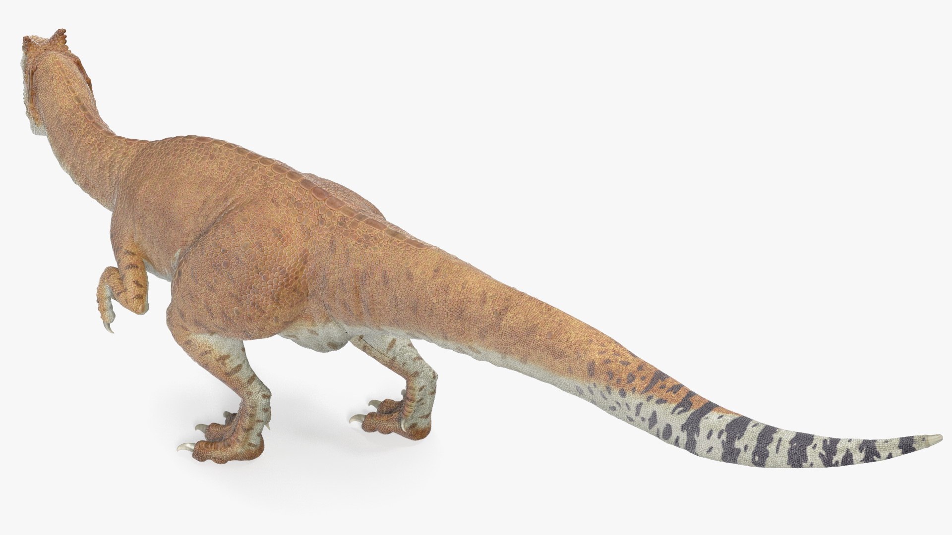 3D Allosaurus on the Hunt model - TurboSquid 2158683