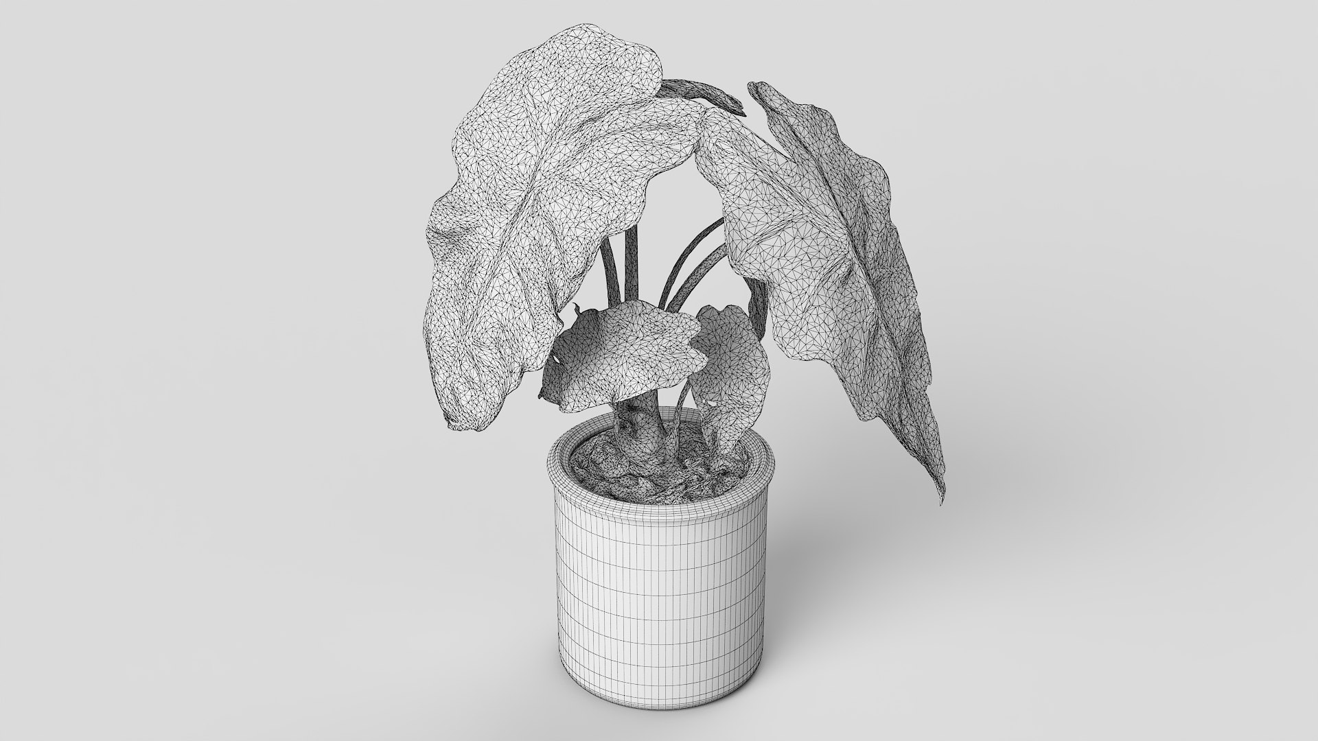 3D Plant 08 Deco Model - TurboSquid 2154335