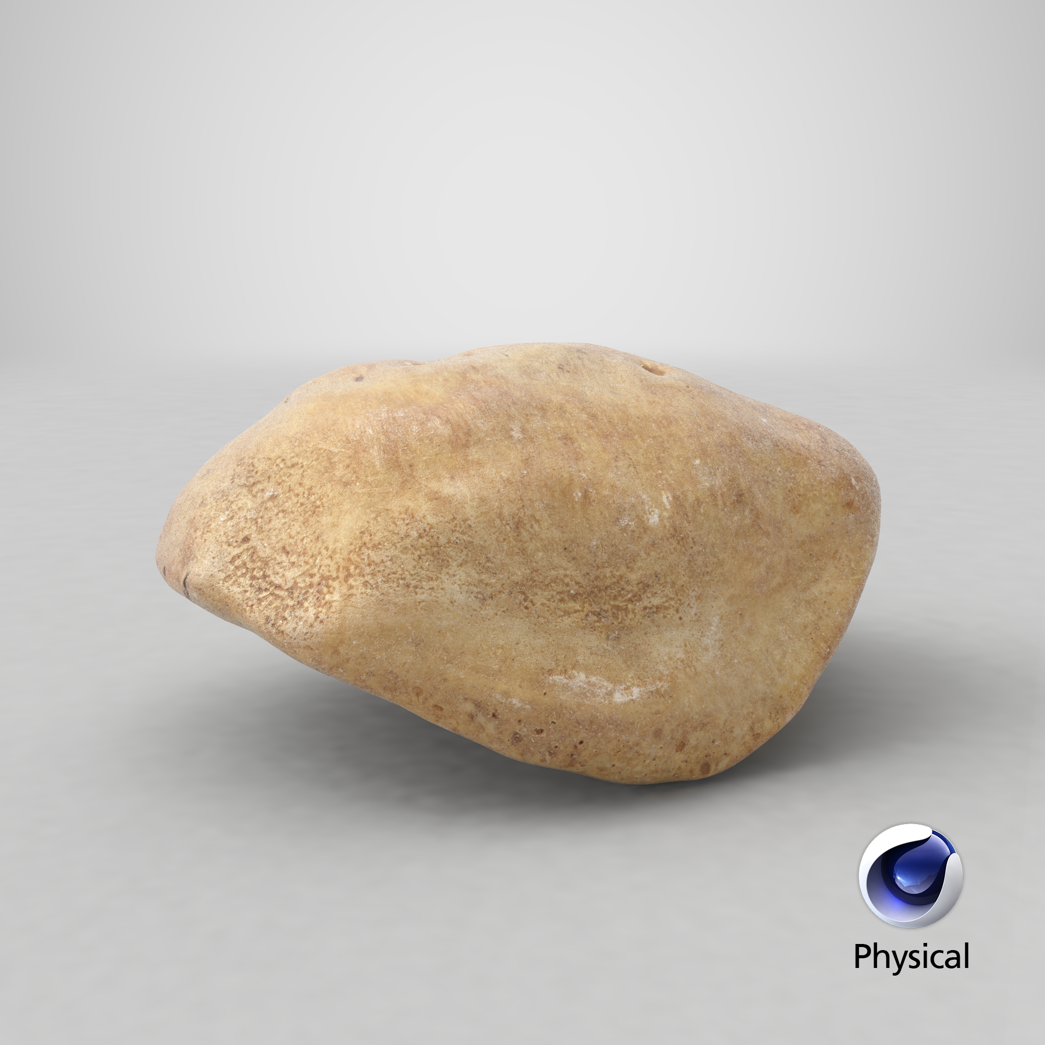 3D human patella bone kneecap - TurboSquid 1535239