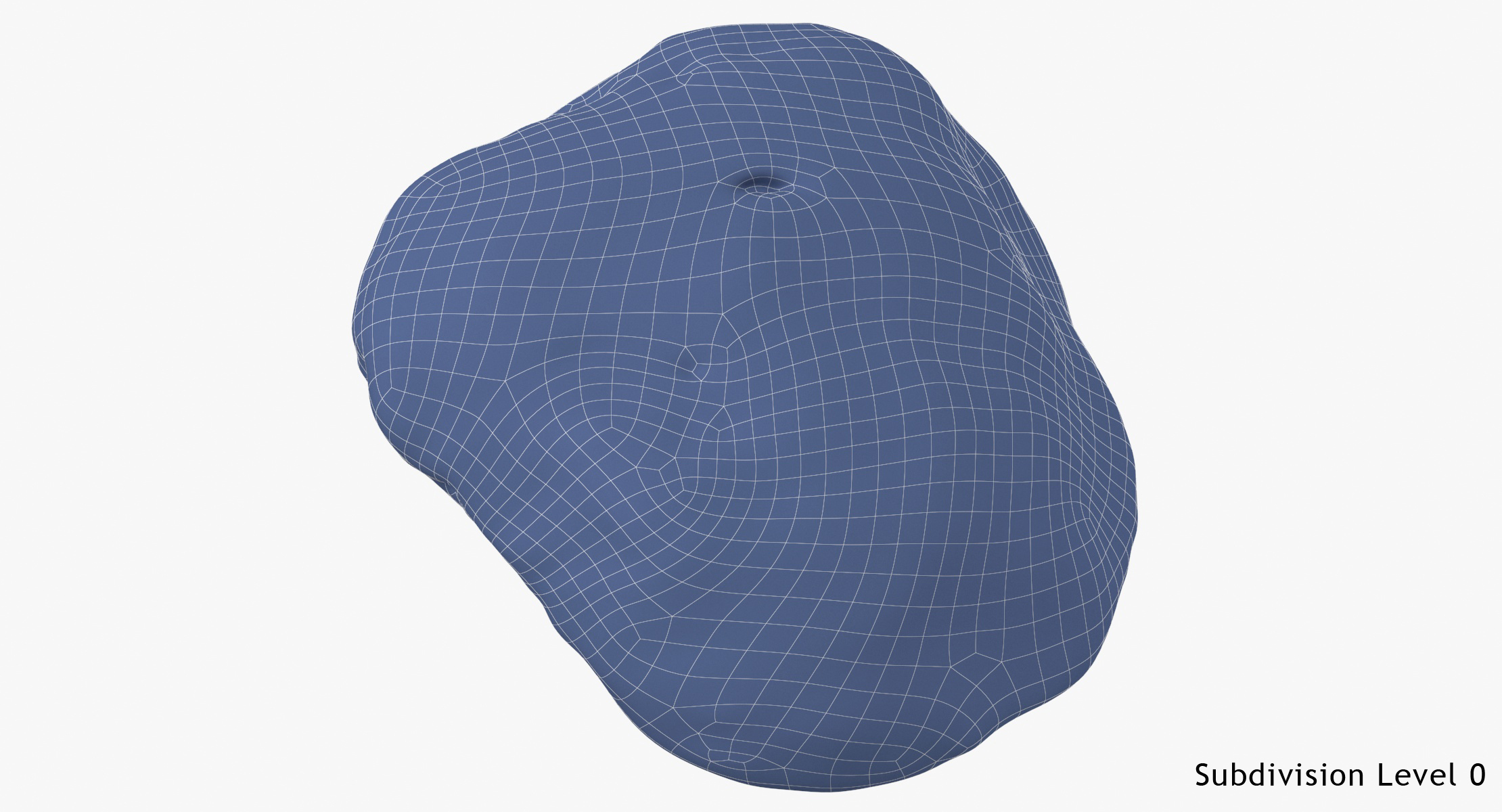 modelo 3d Rótula de hueso de rótula humana real 01 - TurboSquid 1535239