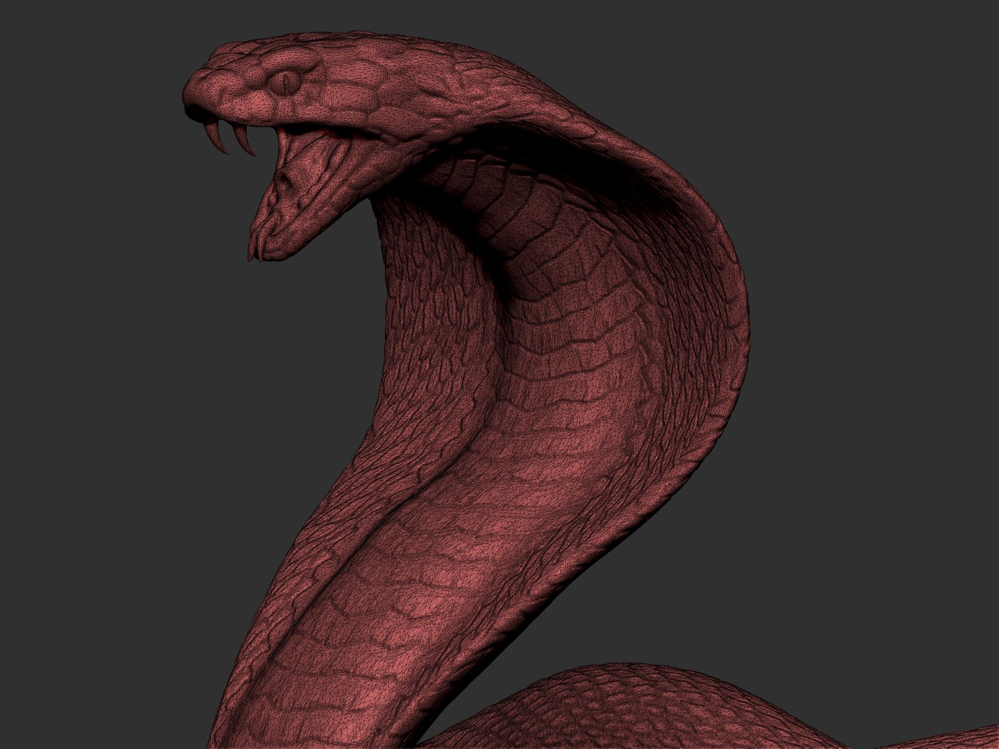 Cobra 3D Model - TurboSquid 1909072