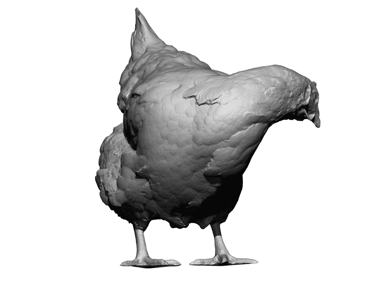 3D Real Chicken Scanned - TurboSquid 1387060