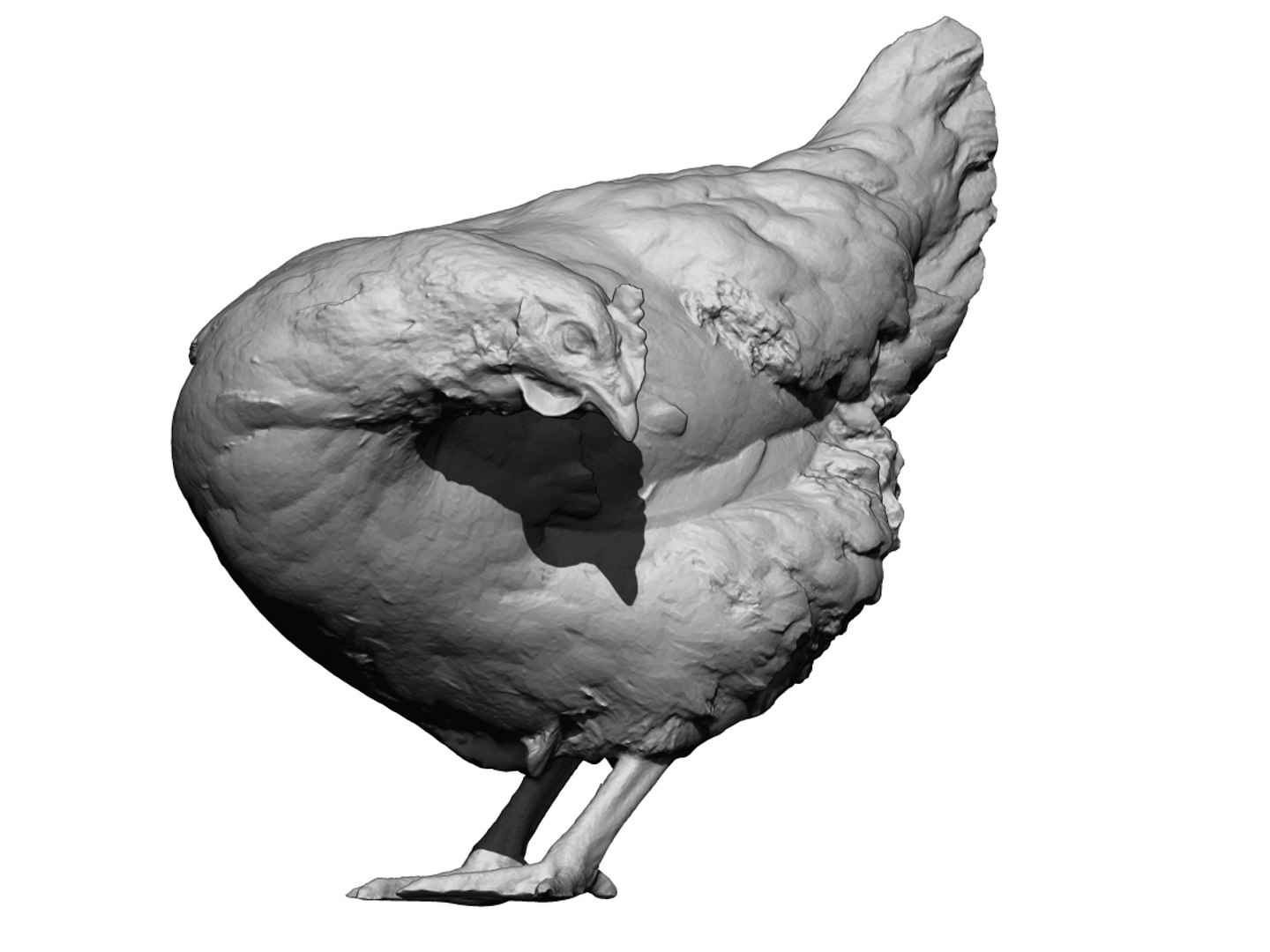 3D Real Chicken Scanned - TurboSquid 1387060