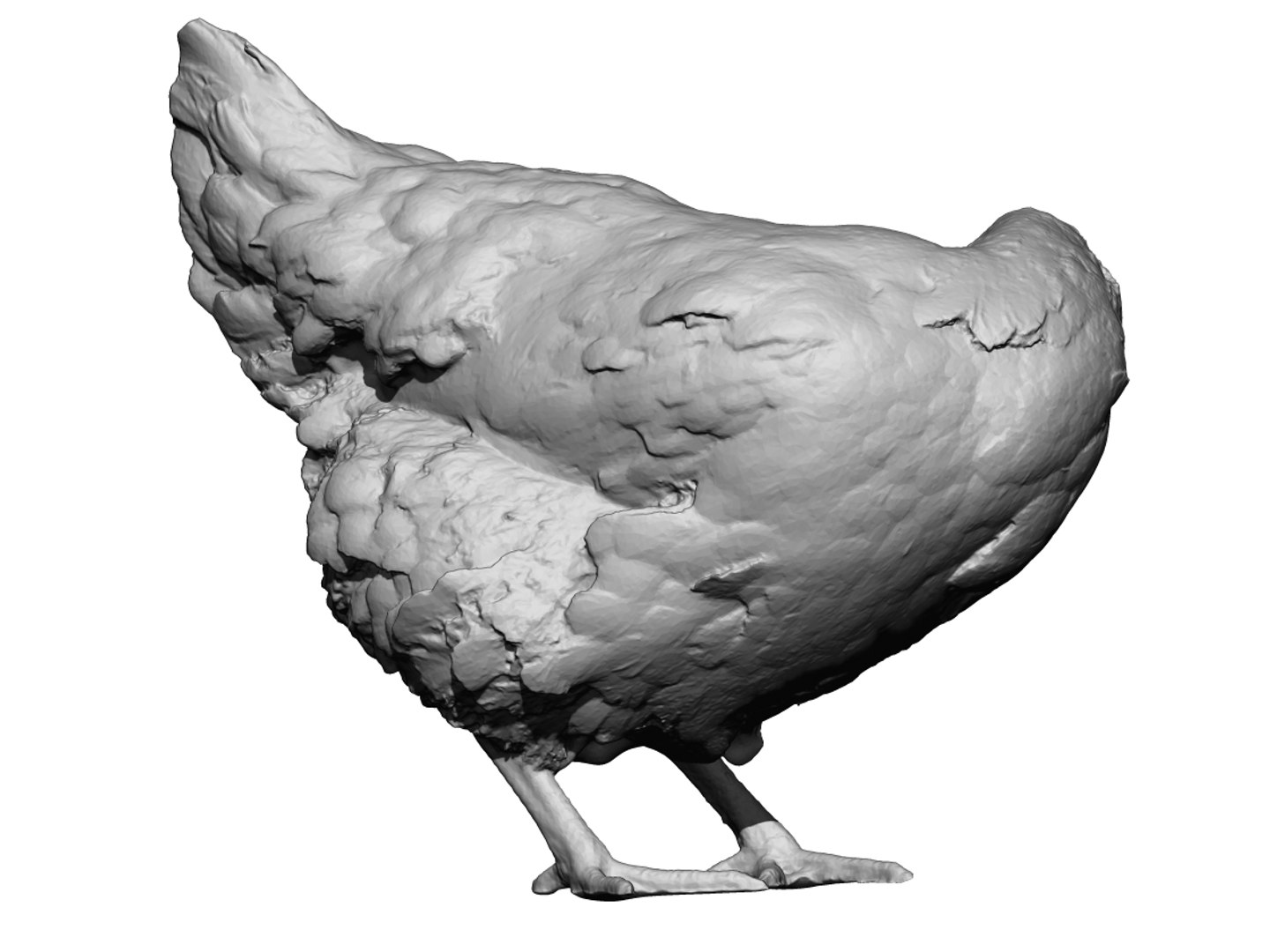 3D Real Chicken Scanned - TurboSquid 1387060
