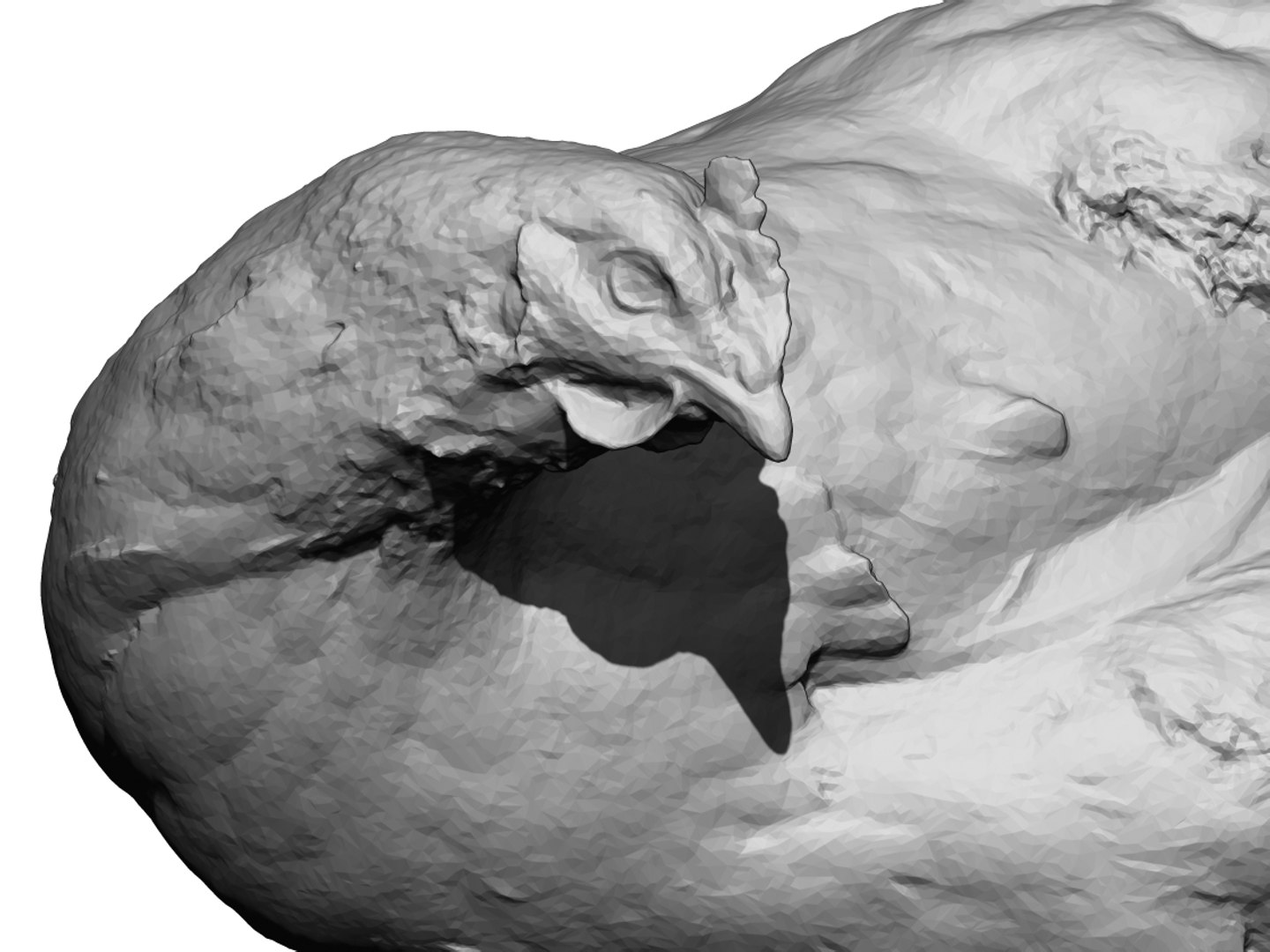 3D Real Chicken Scanned - TurboSquid 1387060