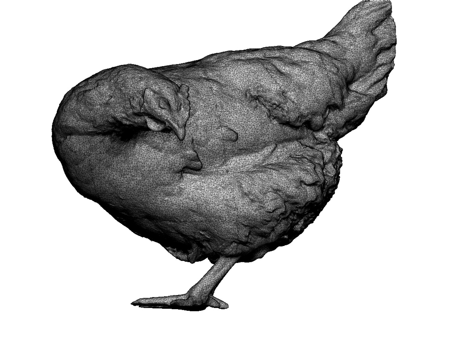 3D Real Chicken Scanned - TurboSquid 1387060