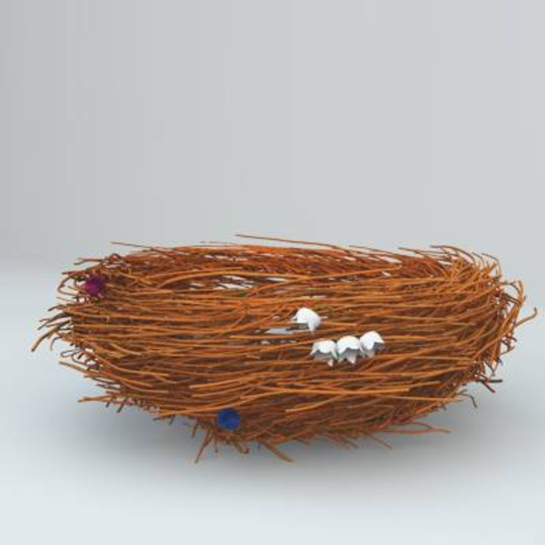 3d Bird S Nest Model