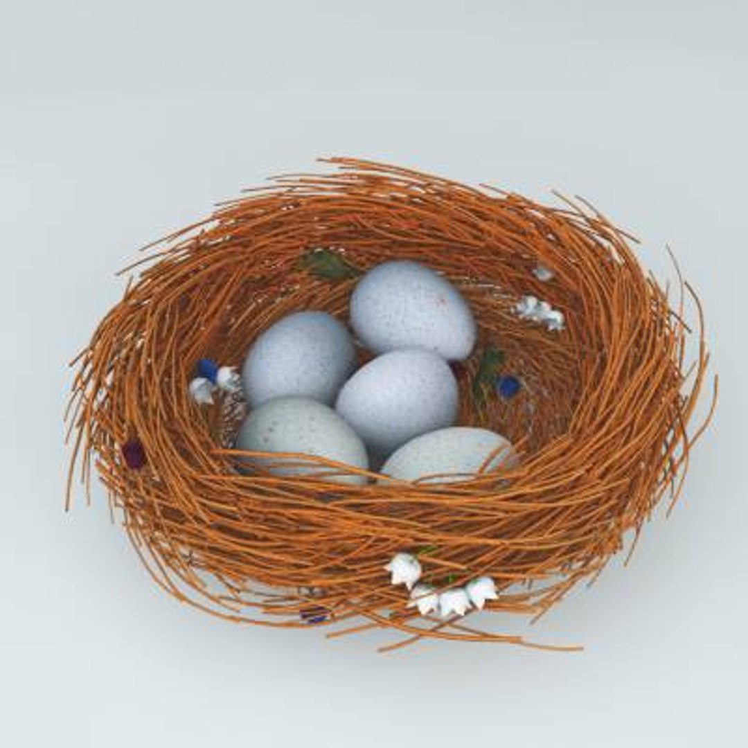 3d Bird S Nest Model