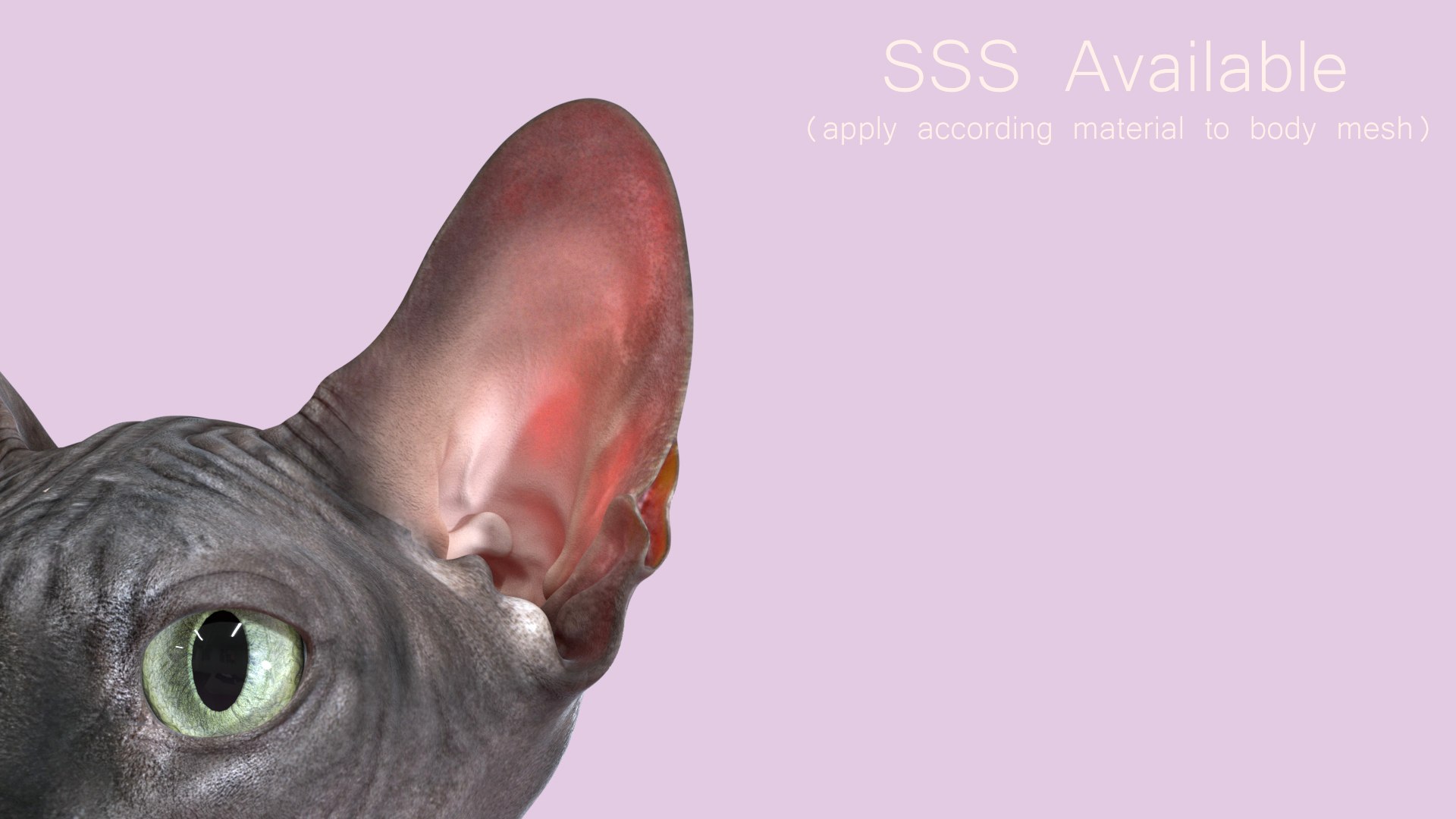 3D Sphynx Cat Rigged Collection - TurboSquid 1777336