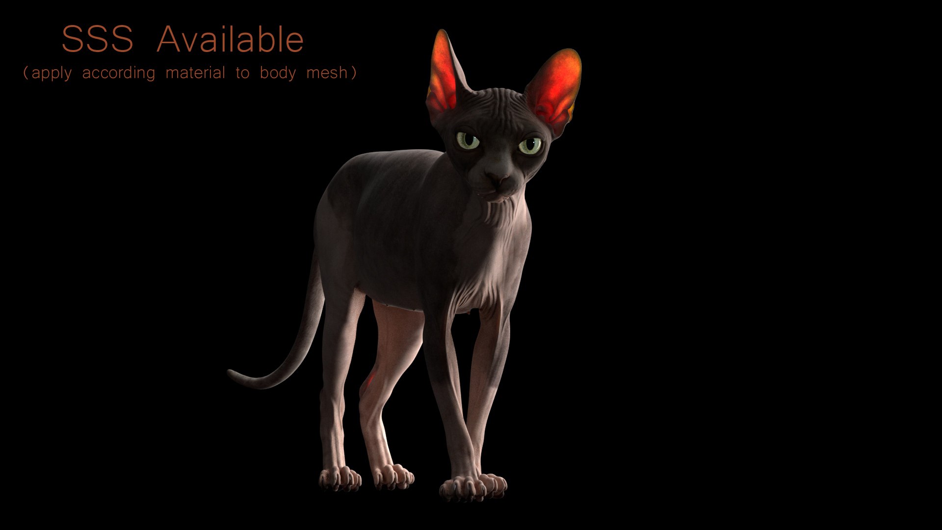 3D Sphynx Cat Rigged Collection - TurboSquid 1777336
