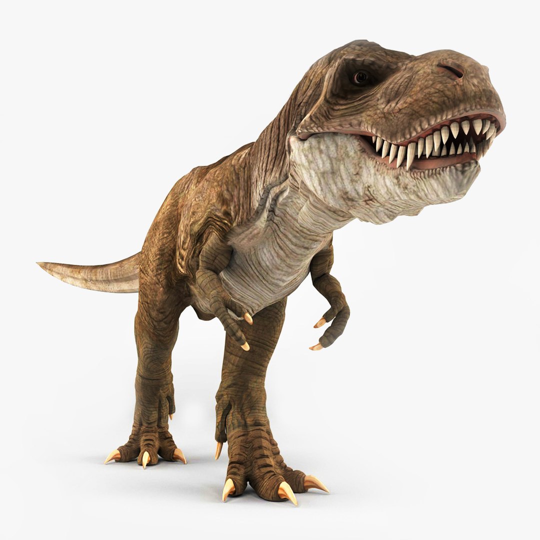 Tyrannosaurus Rex 3D model - TurboSquid 1953199