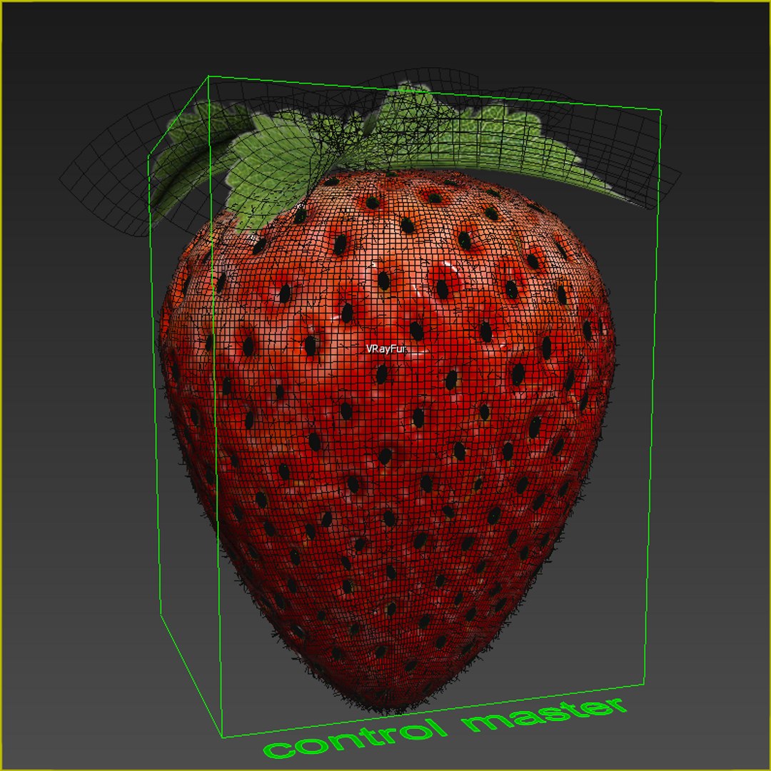 Strawberry Berry 3d Model