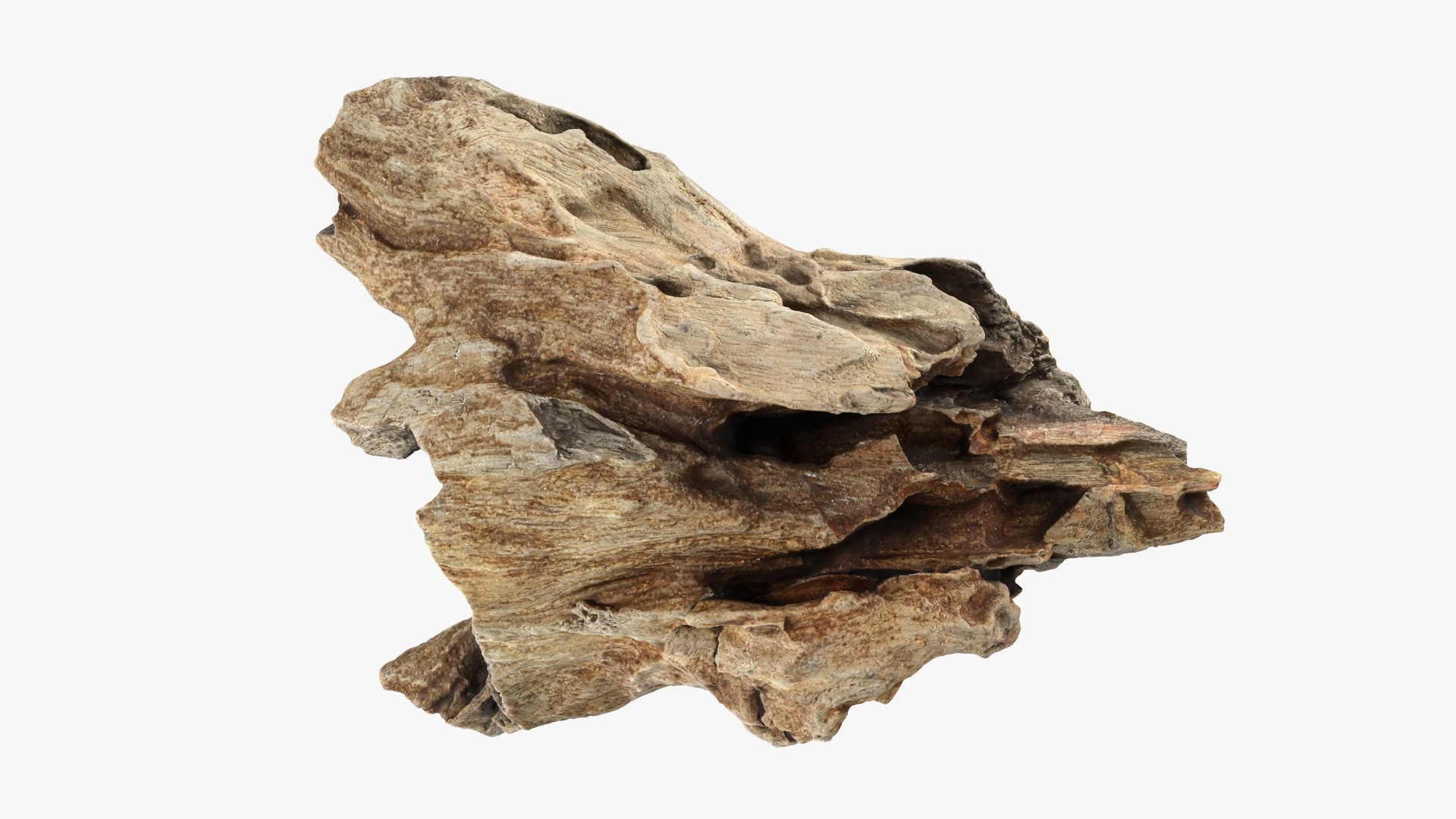 modèle 3D de Morceau de tronc d'arbre 11 - Numérisation brute ...