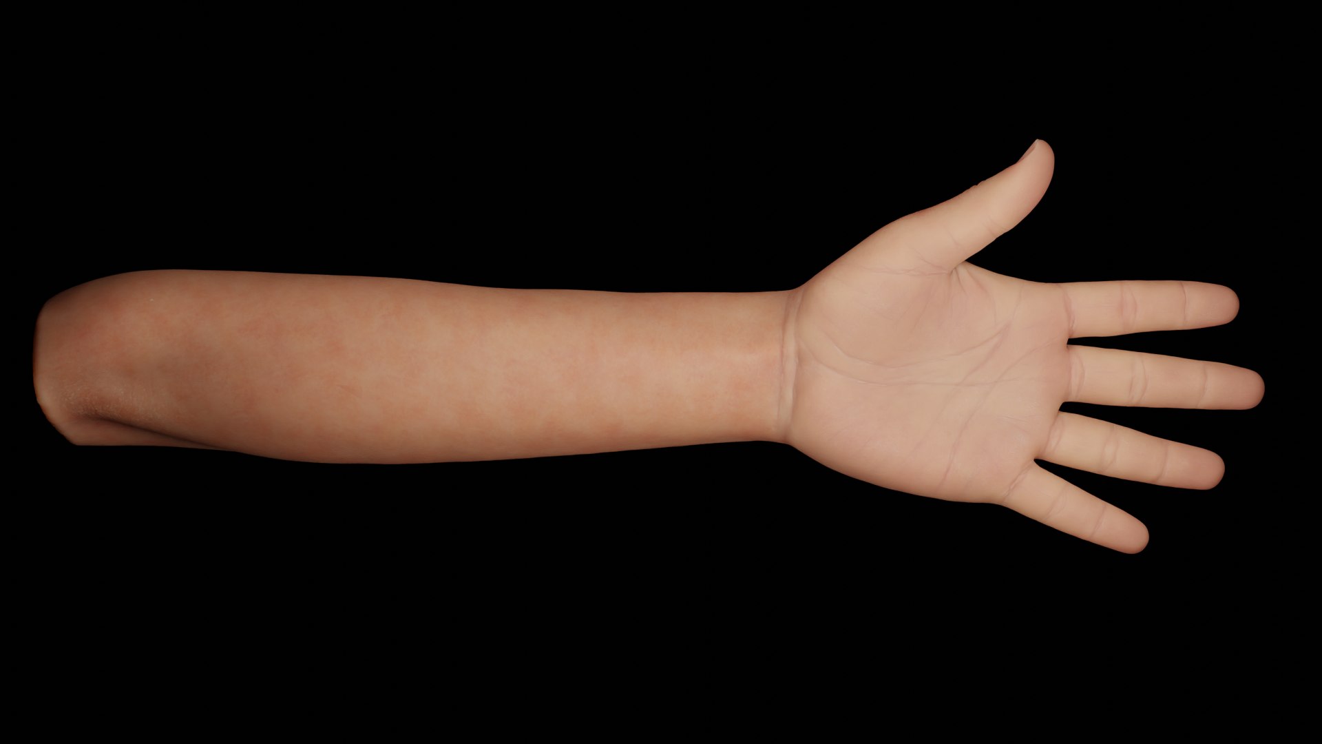 Left Hand Rigged 3D Model - TurboSquid 1940429