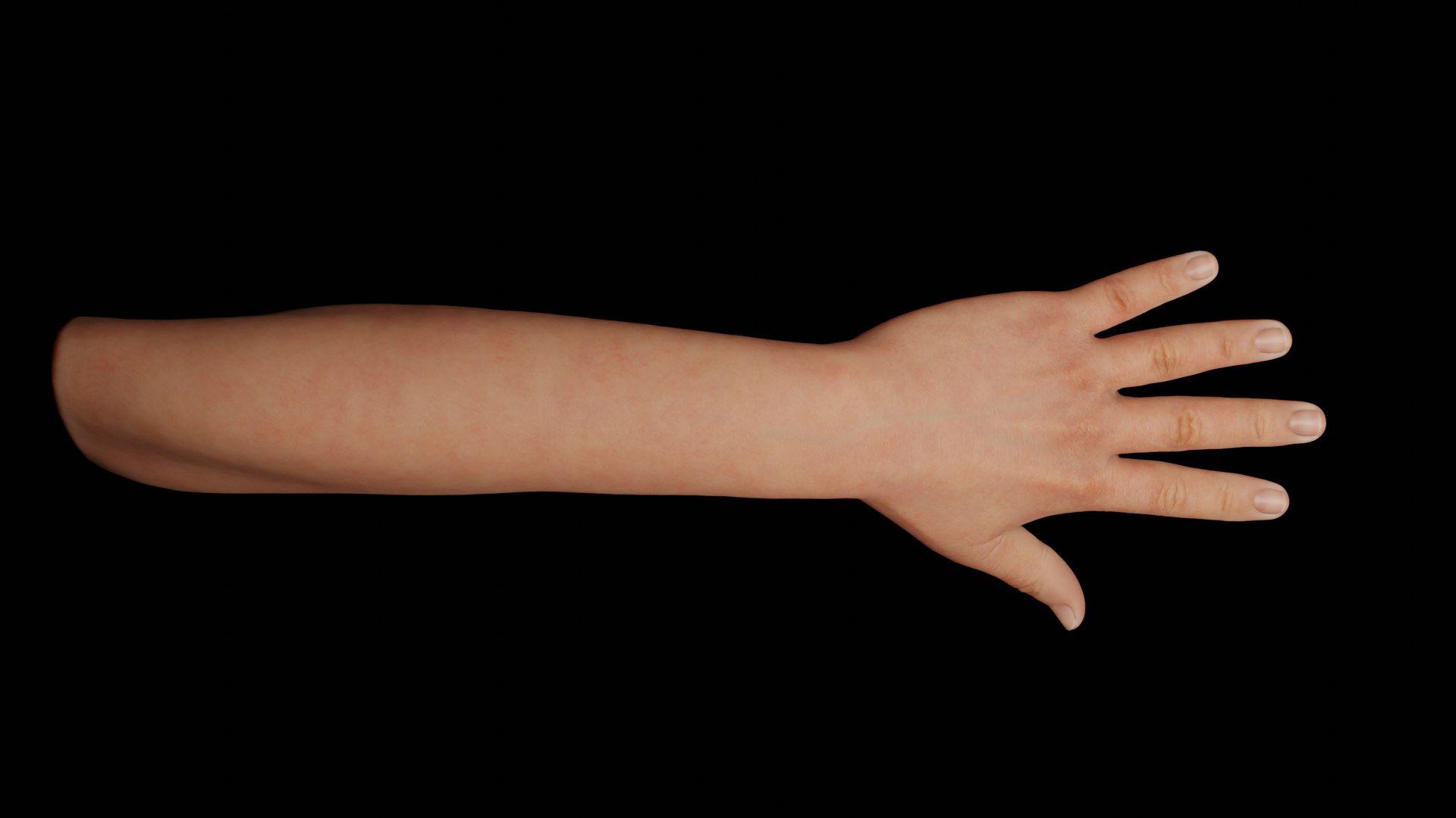 Left Hand Rigged 3D Model - TurboSquid 1940429