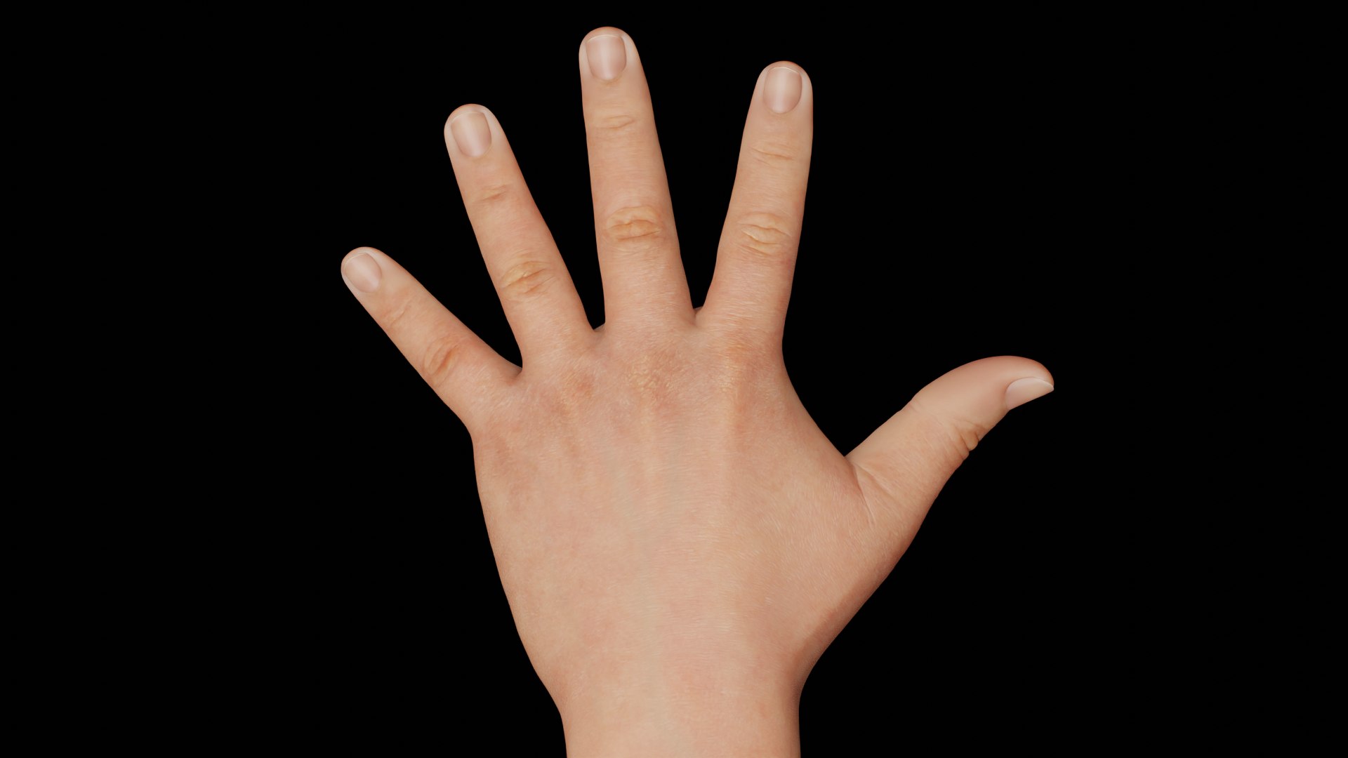 Left Hand Rigged 3D Model - TurboSquid 1940429