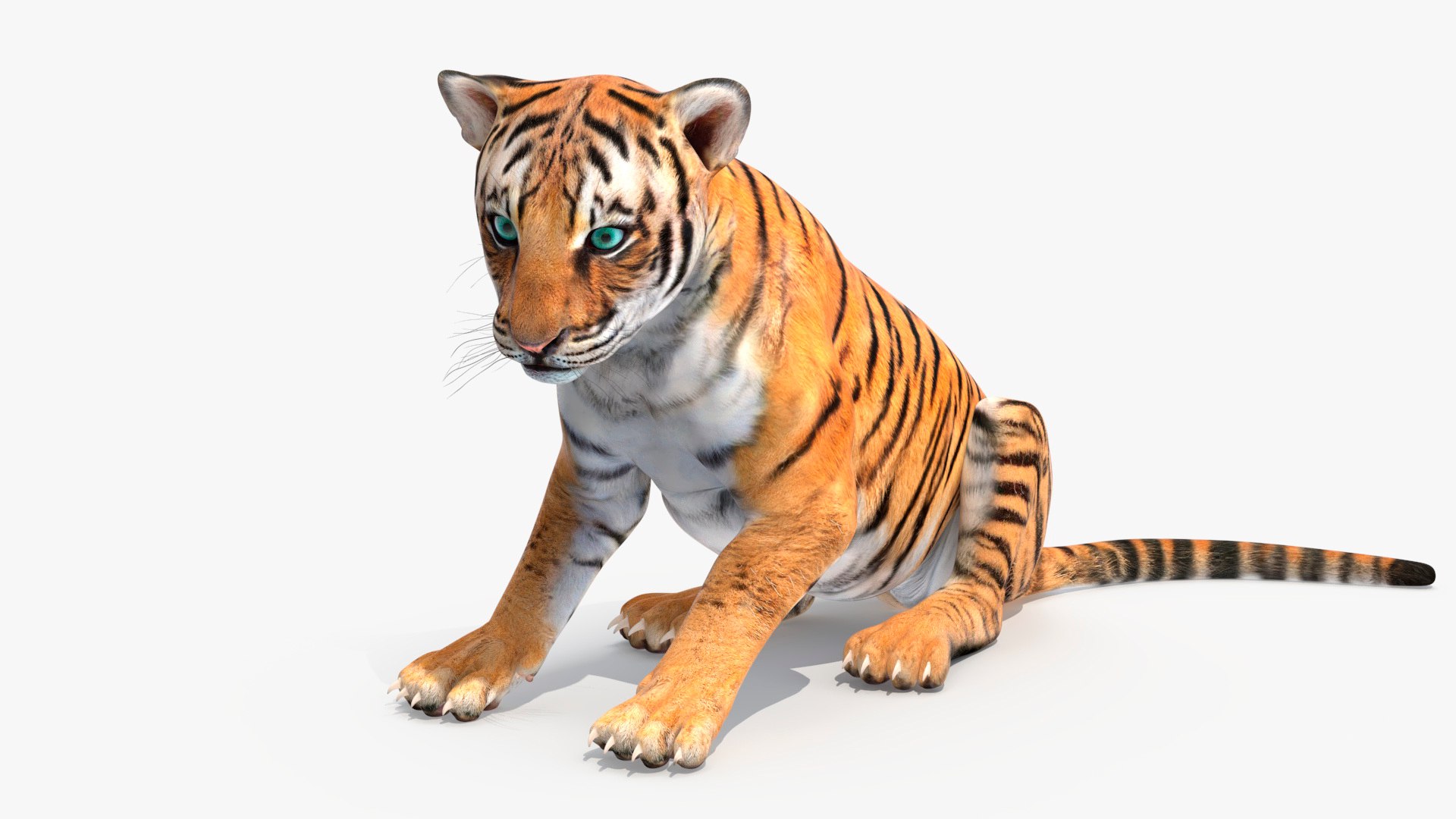 Tiger Cub Rigged For Maya 3D Model - TurboSquid 2377332