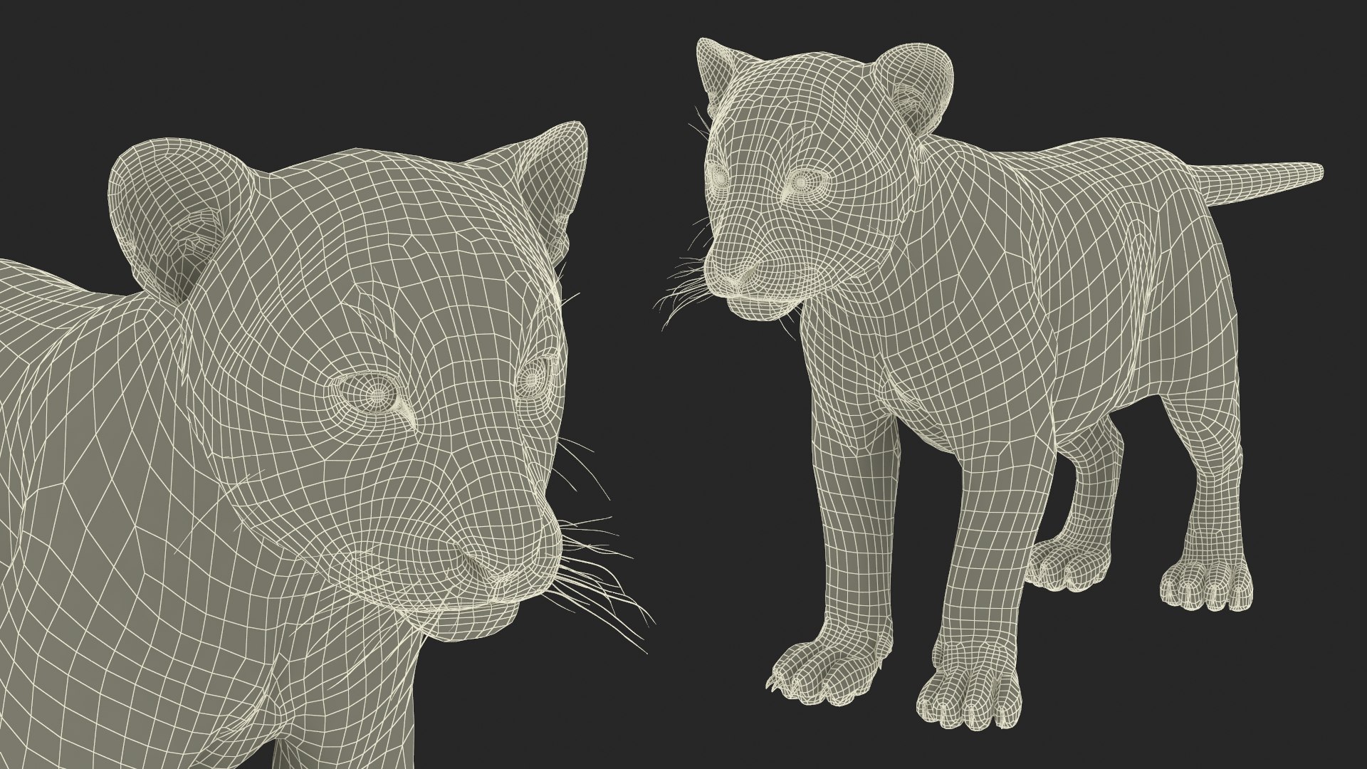 Tiger Cub Rigged For Maya 3D Model - TurboSquid 2377332