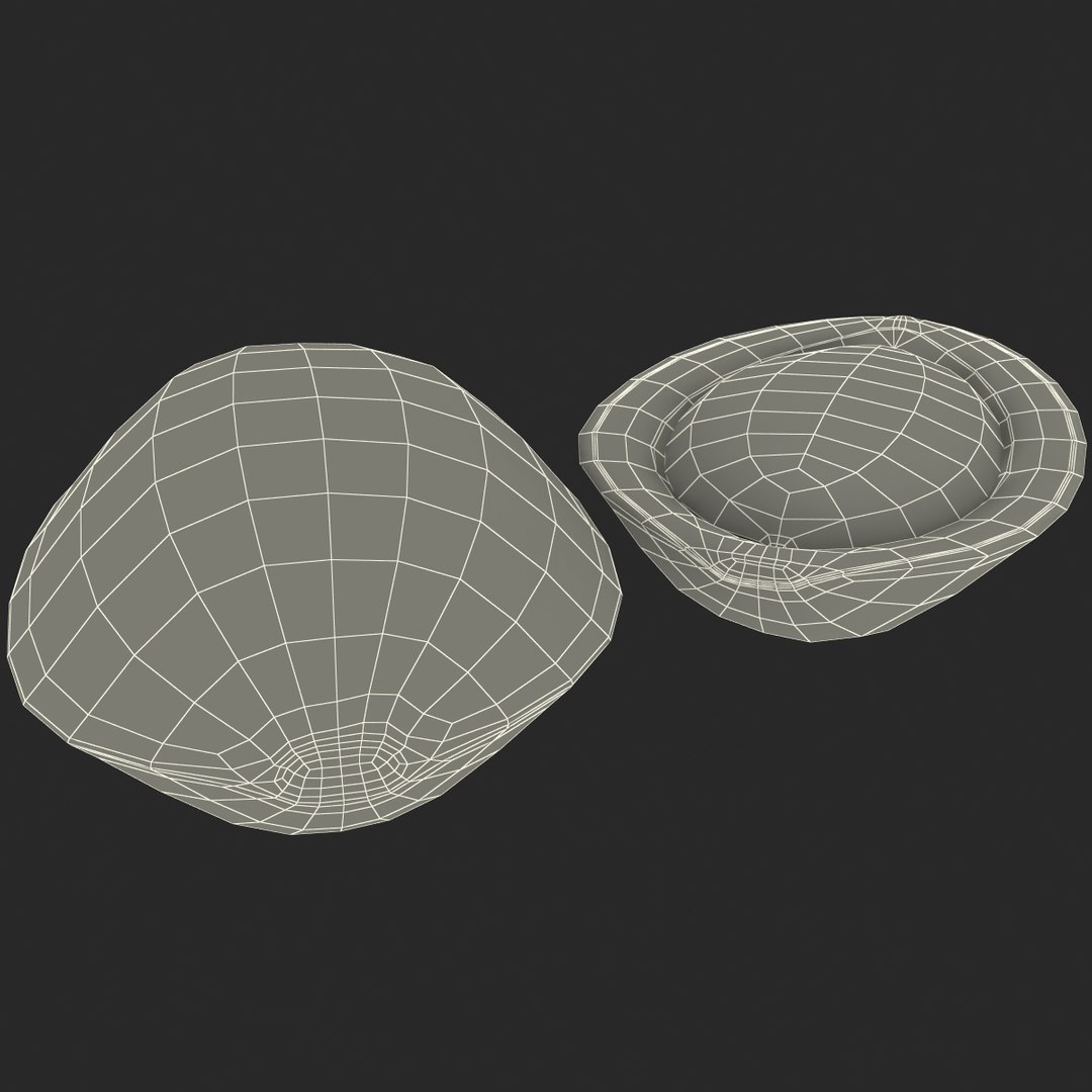 3d Almond Modelled