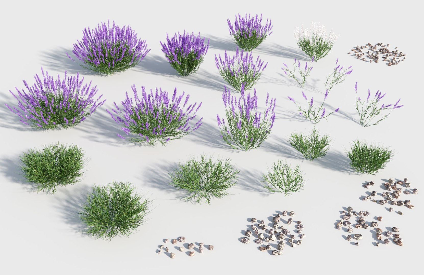 Lavender Field 3D Model - TurboSquid 1389806