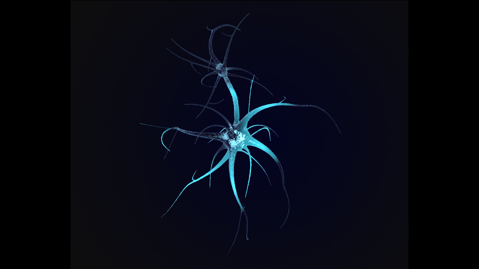 3D Neuron Model - TurboSquid 2330922