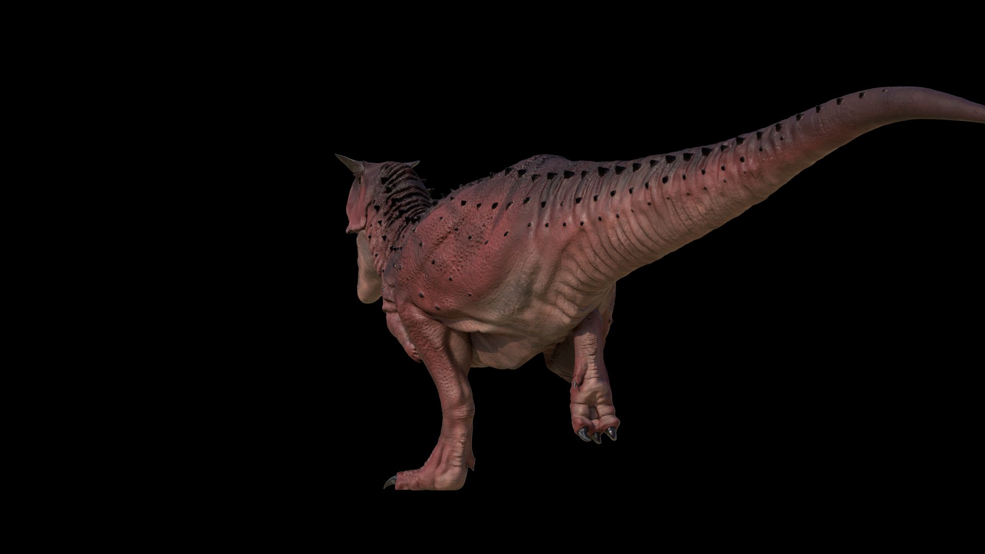 Carnotaurus Sastrei 3D - TurboSquid 1310796