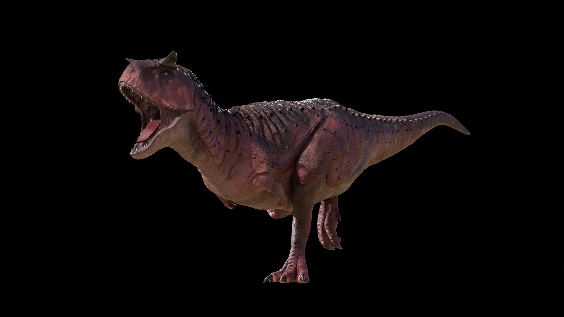 Carnotaurus Sastrei 3D - TurboSquid 1310796