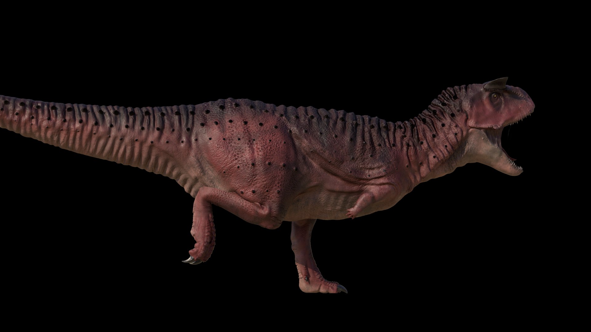 Carnotaurus Sastrei 3D - TurboSquid 1310796