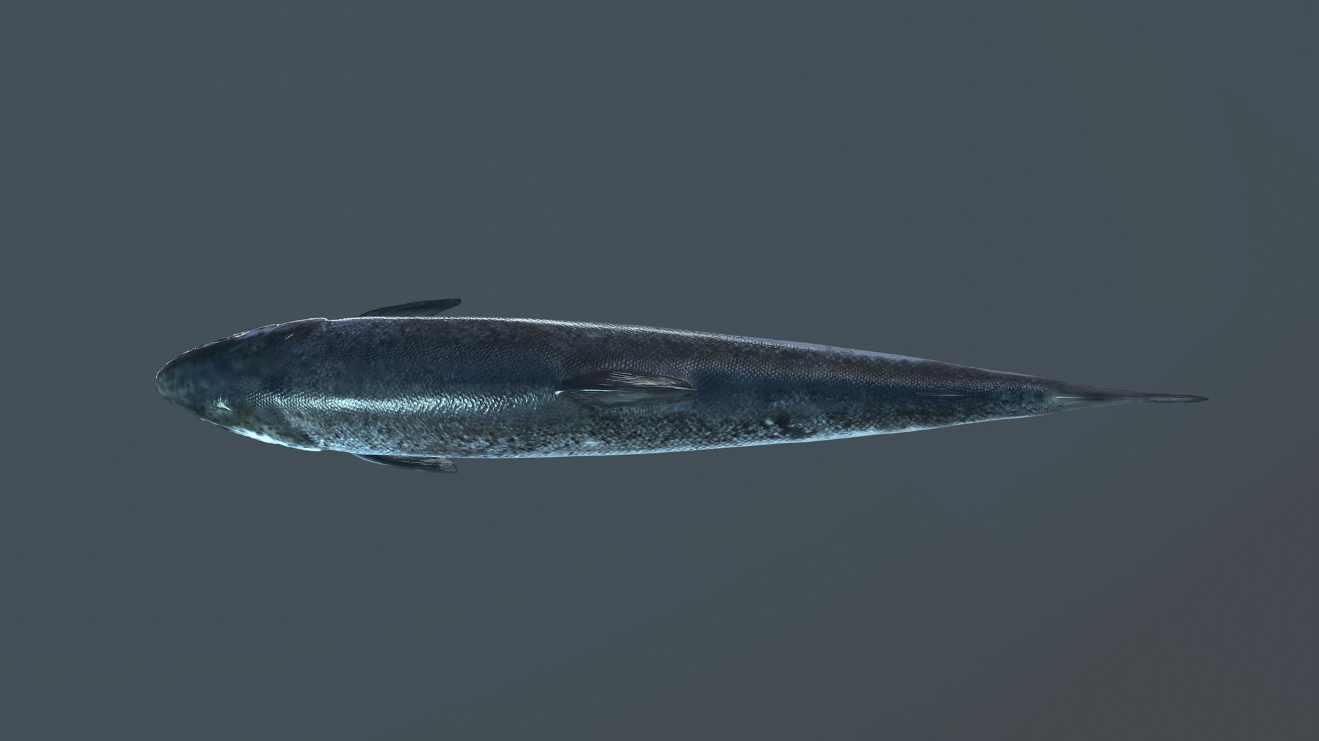 3D Model Salmon Low-poly 3D Model - TurboSquid 1981837