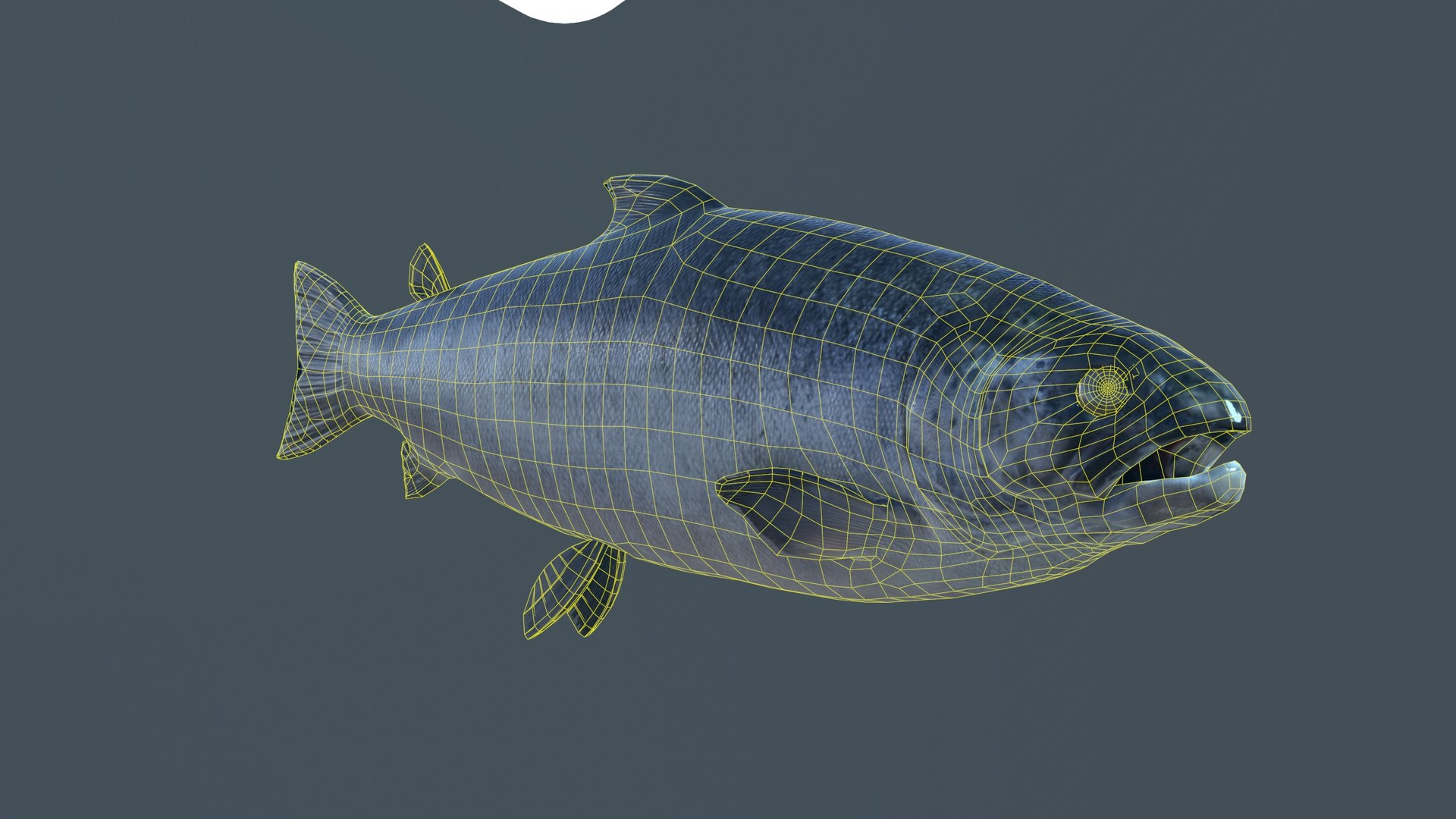 3D Model Salmon Low-poly 3D Model - TurboSquid 1981837