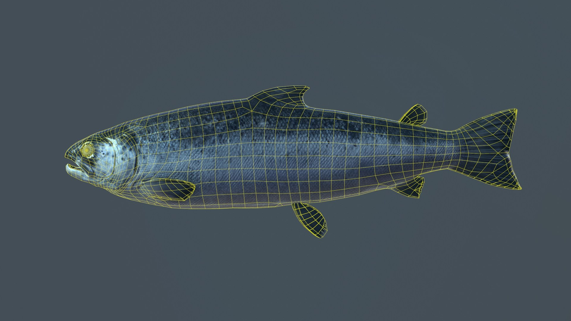 3D Model Salmon Low-poly 3D Model - TurboSquid 1981837