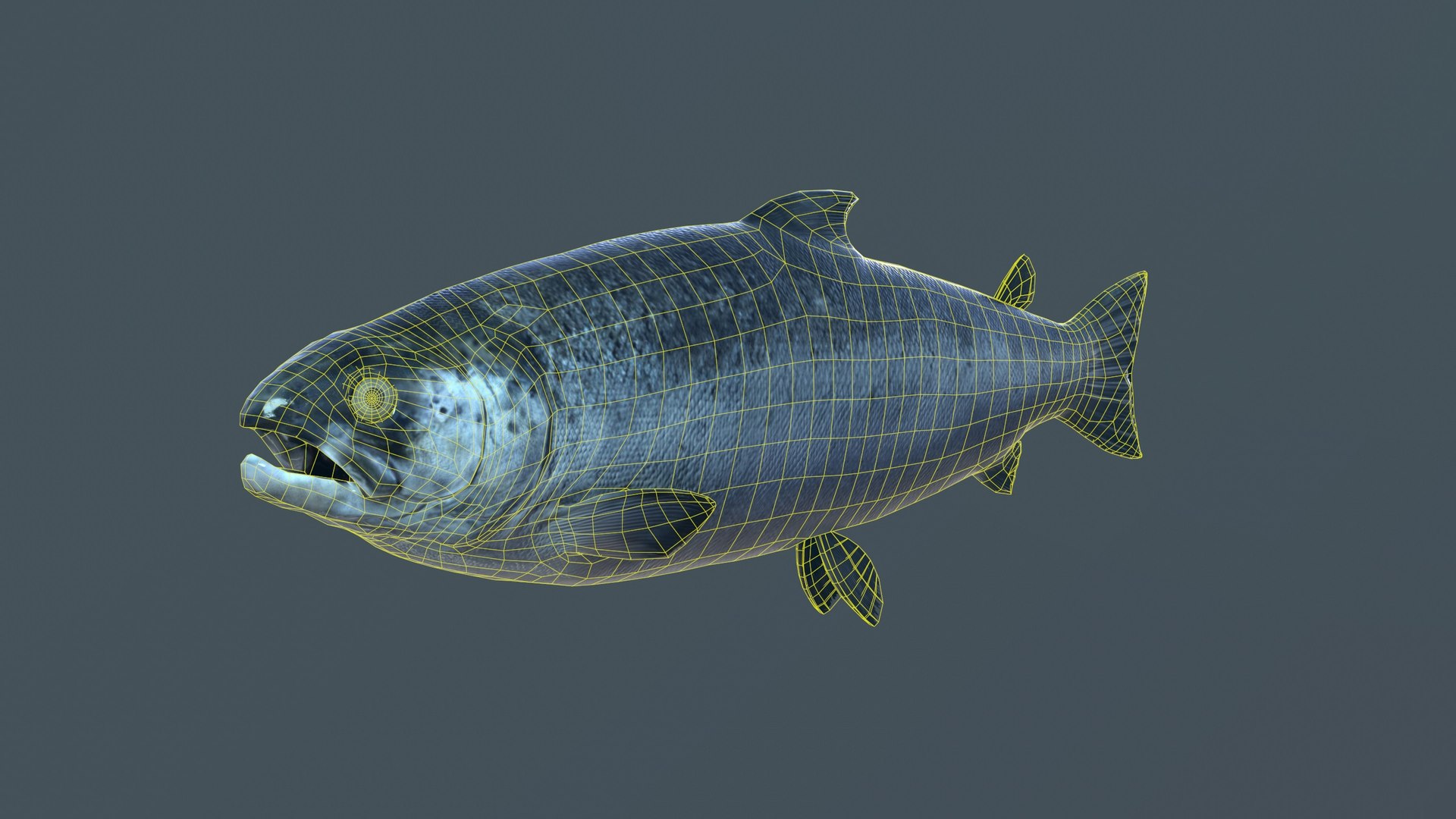 3D Model Salmon Low-poly 3D Model - TurboSquid 1981837