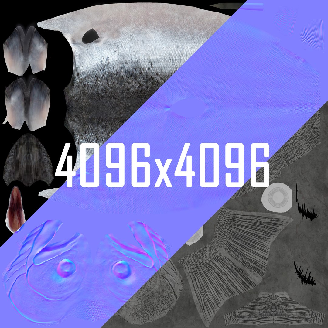 3D Model Salmon Low-poly 3D Model - TurboSquid 1981837