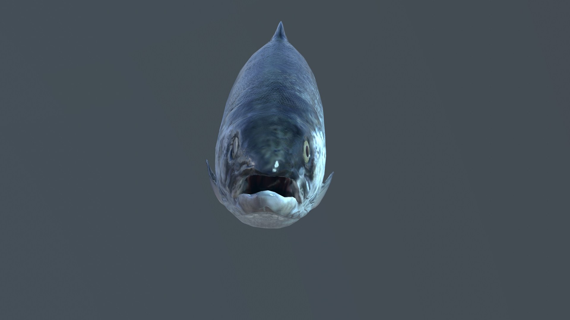 3D Model Salmon Low-poly 3D Model - TurboSquid 1981837