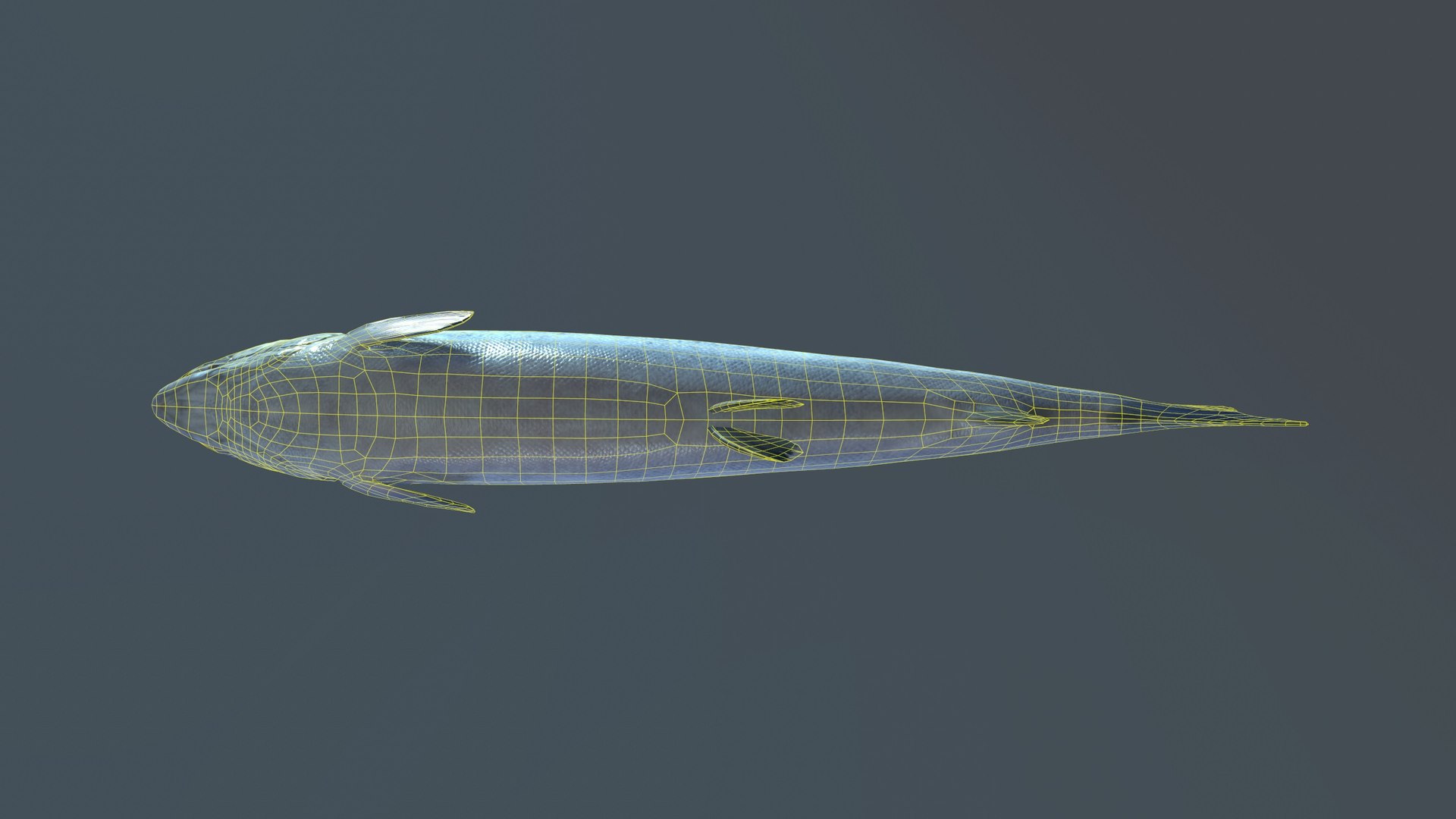 3D Model Salmon Low-poly 3D Model - TurboSquid 1981837