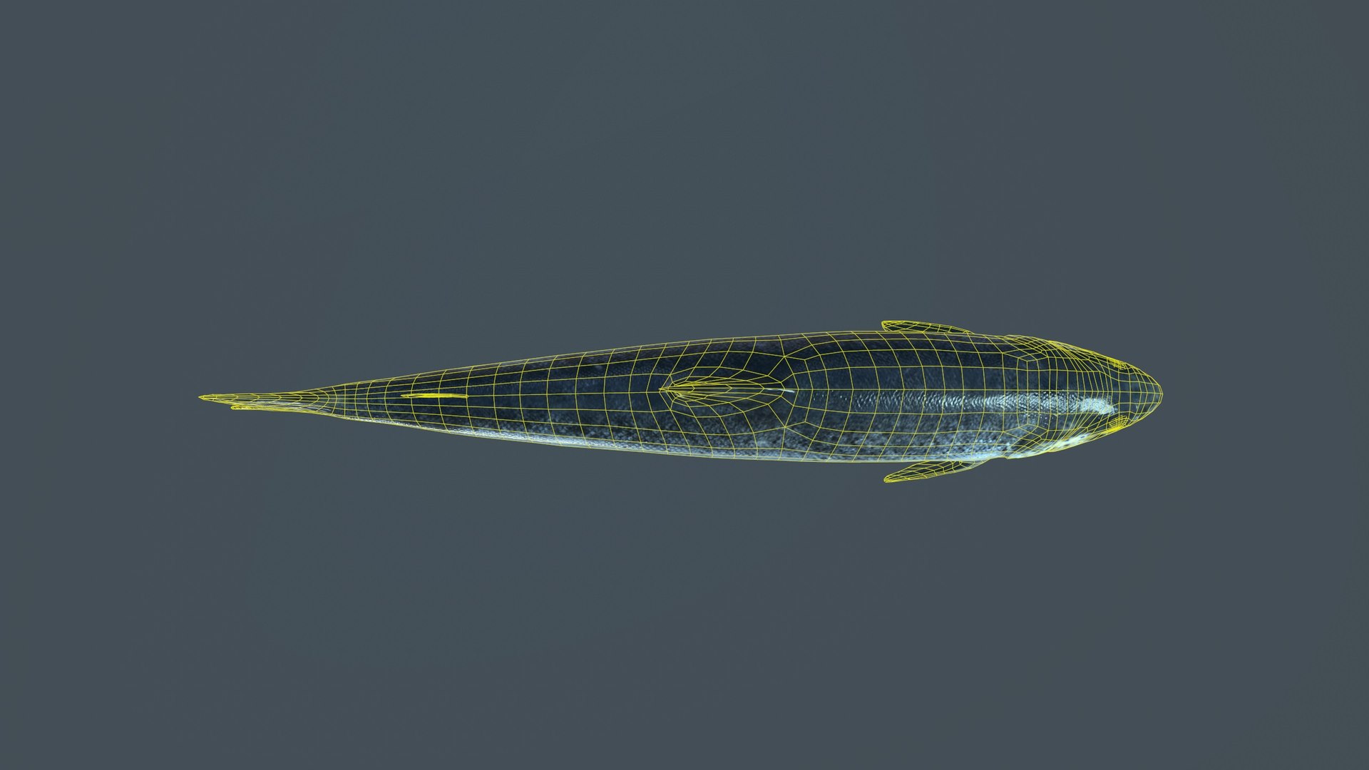 3D Model Salmon Low-poly 3D Model - TurboSquid 1981837