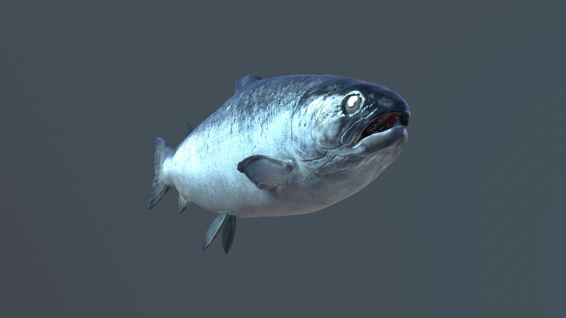 3D Model Salmon Low-poly 3D Model - TurboSquid 1981837